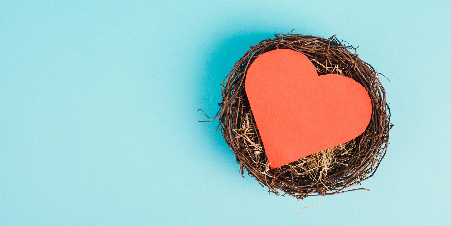 12 Tips to Navigate Becoming An Empty Nester - Love Middle Life